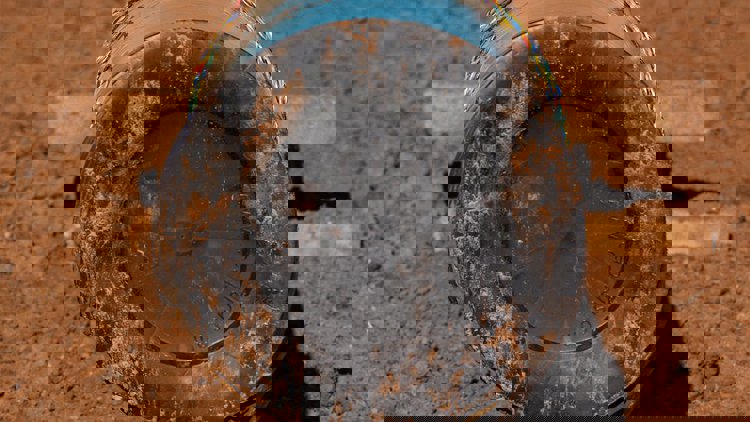 Dallas company Energy Transfer plans 400-mile pipeline across Texas ...