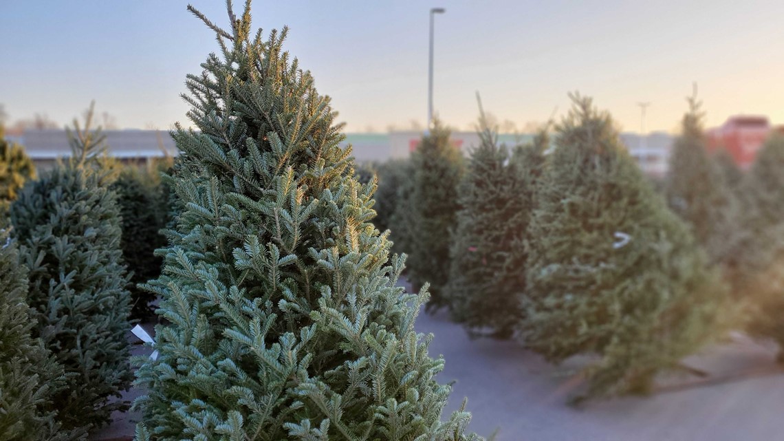 FedEx delivers more than 500 Christmas trees to Fort Hood | kcentv.com