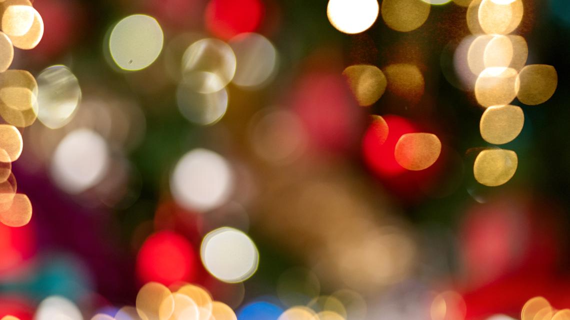 Cameron Park Zoo's 'Wild Lights' has new displays | kcentv.com