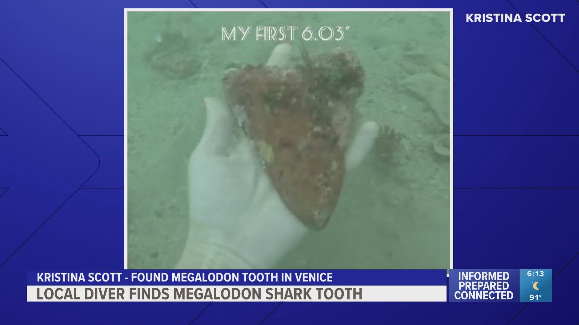 Diver finds megalodon tooth off Florida's Gulf Coast | kcentv.com