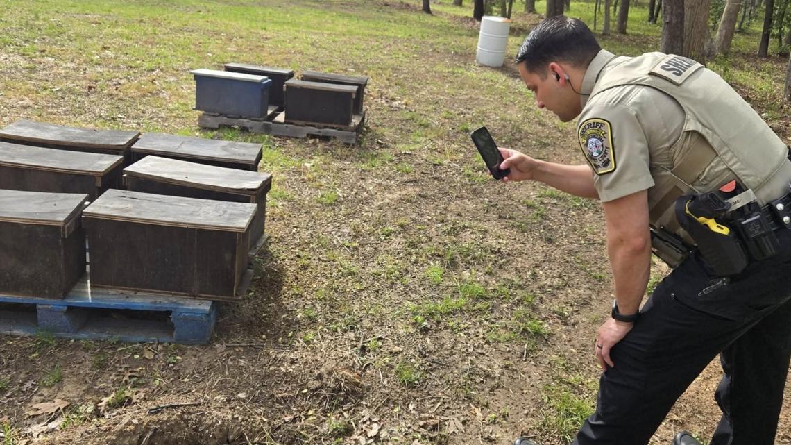Half a million bees poisoned at Rock Hill Honey Bee Farm | kcentv.com